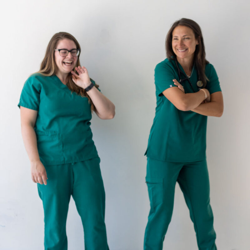 Meet Our Team and Commitment | Healing Paws Veterinary Center - Healing ...