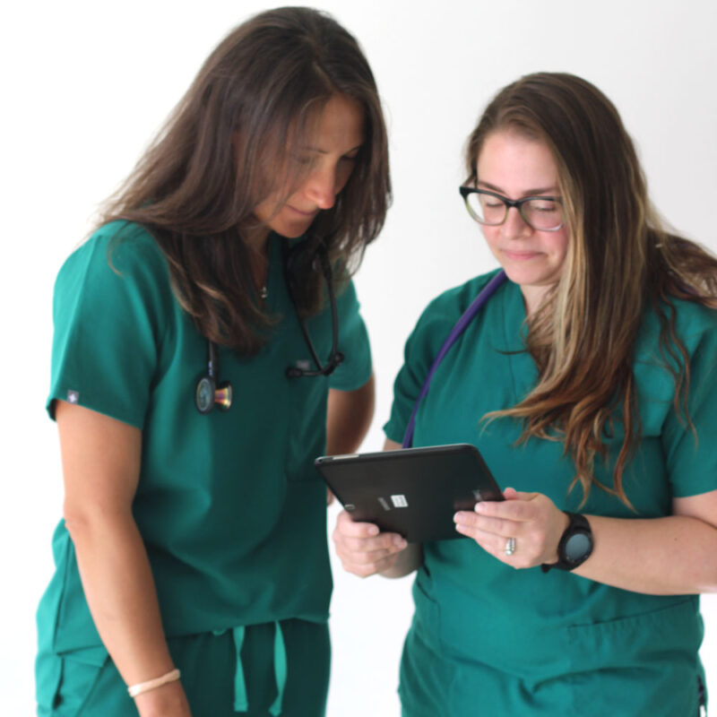 Meet Our Team and Commitment | Healing Paws Veterinary Center - Healing ...