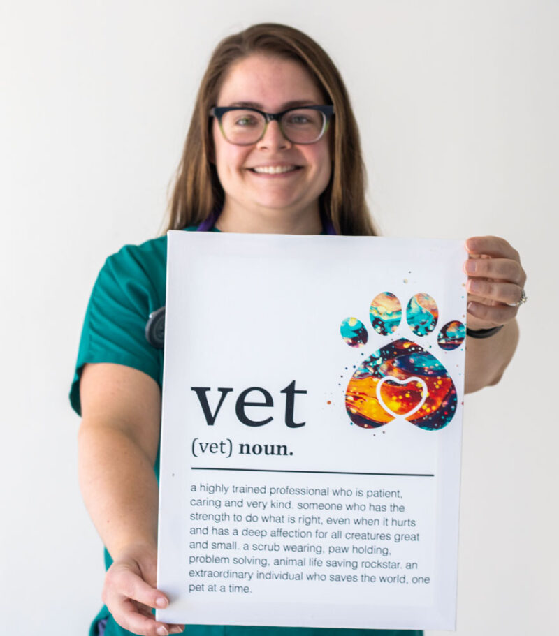 Meet Our Team and Commitment | Healing Paws Veterinary Center - Healing Paws Veterinary Center